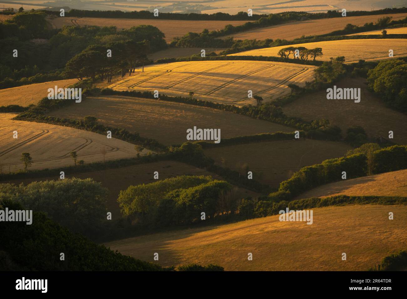 Devon countryside hi-res stock photography and images - Alamy