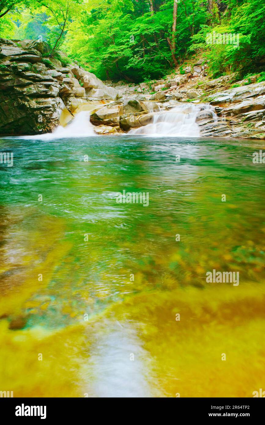 Clear stream and small waterfall in Menkawa-kei Stock Photo - Alamy