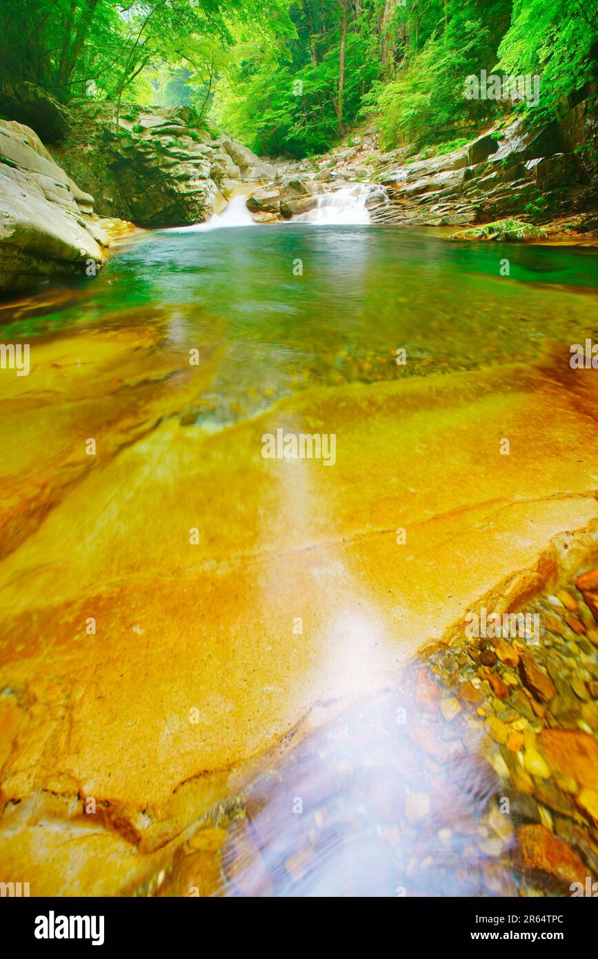 Clear stream and small waterfall in Menkawa-kei Stock Photo - Alamy