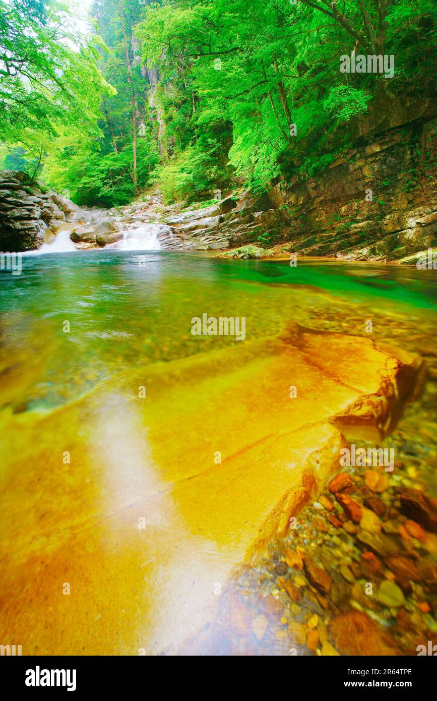 Clear stream and small waterfall in Menkawa-kei Stock Photo - Alamy