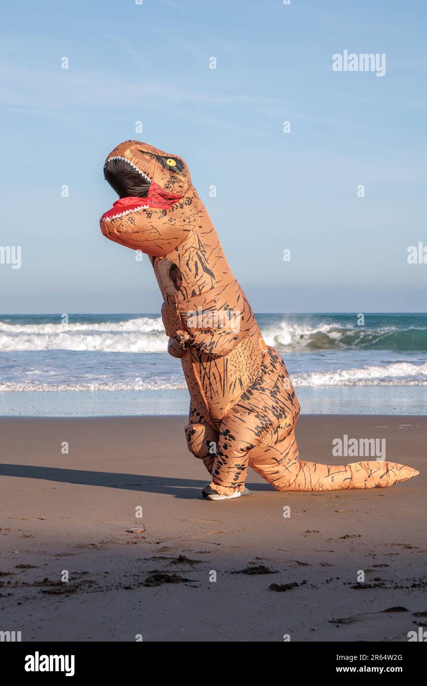 T-rex on the ocean beach in Zumaia, Spain. Dinosaur next to sea Stock ...