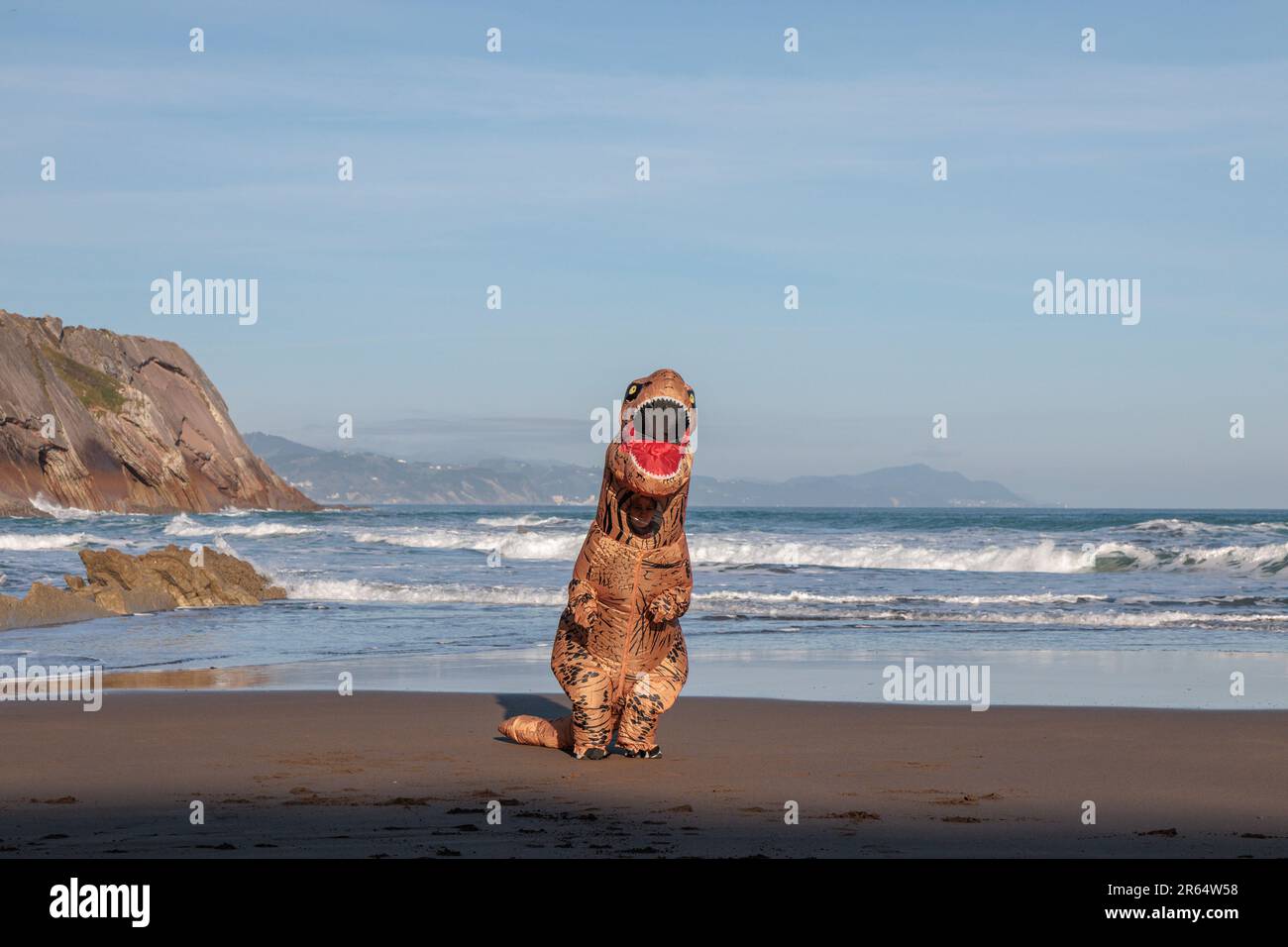 T-rex on the ocean beach in Zumaia, Spain. Dinosaur next to sea Stock ...