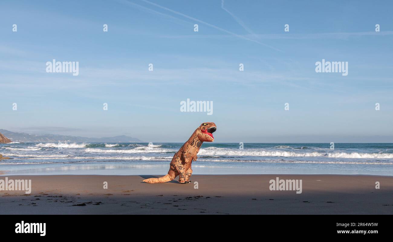 T-rex on the ocean beach in Zumaia, Spain. Dinosaur next to sea Stock ...