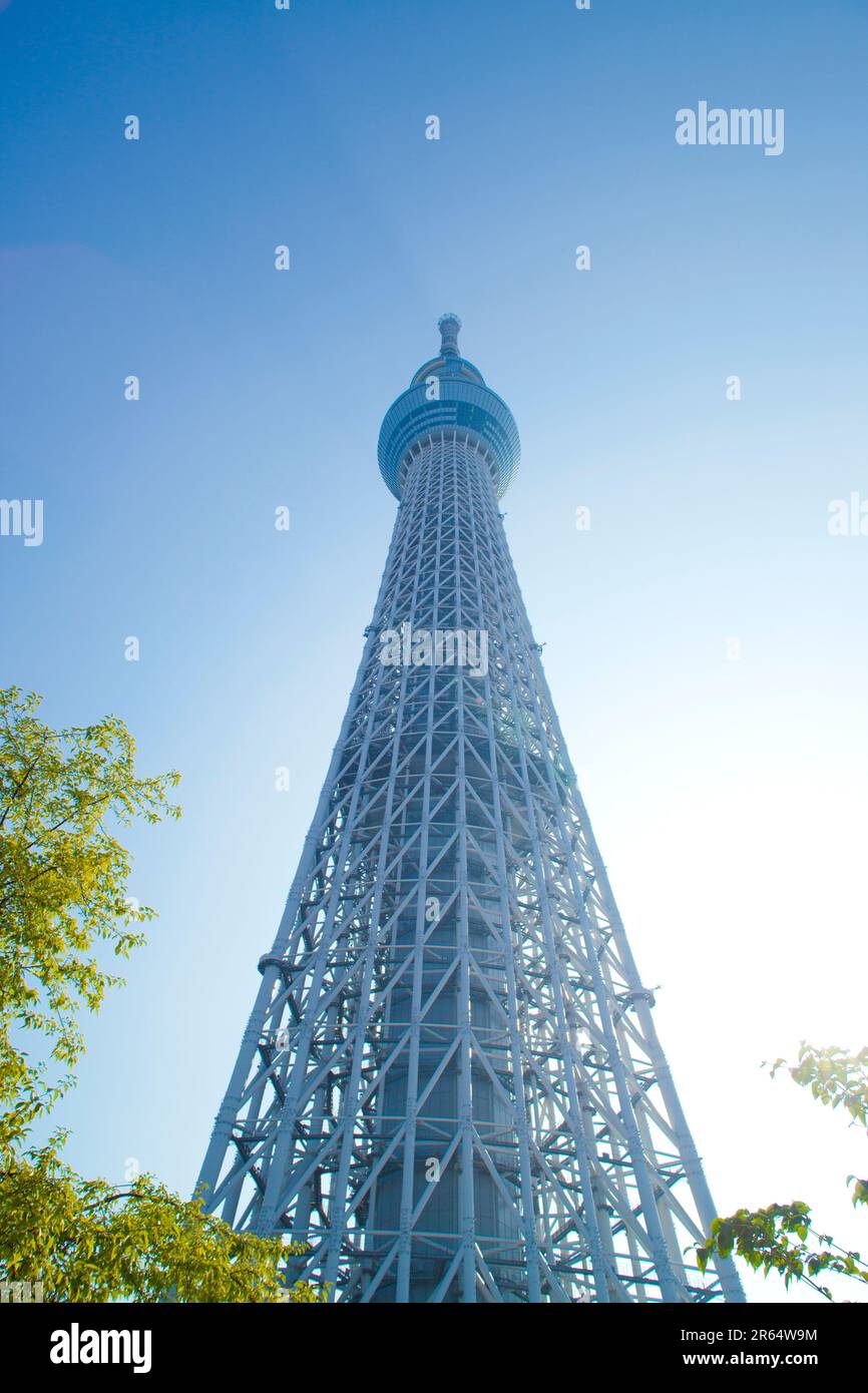 Tokyo Sky Tree Stock Photo - Alamy
