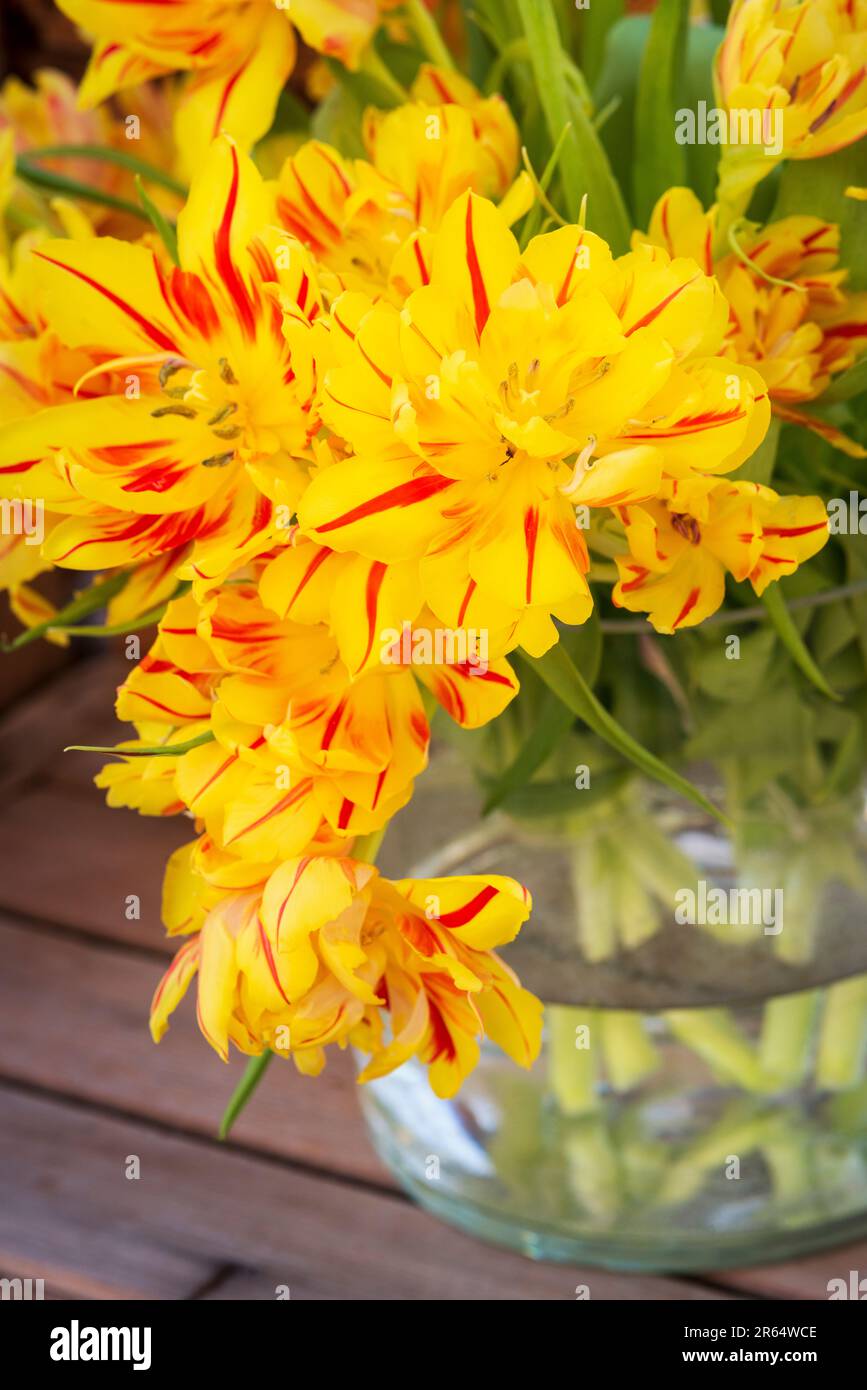Flamed flowers hi-res stock photography and images - Alamy