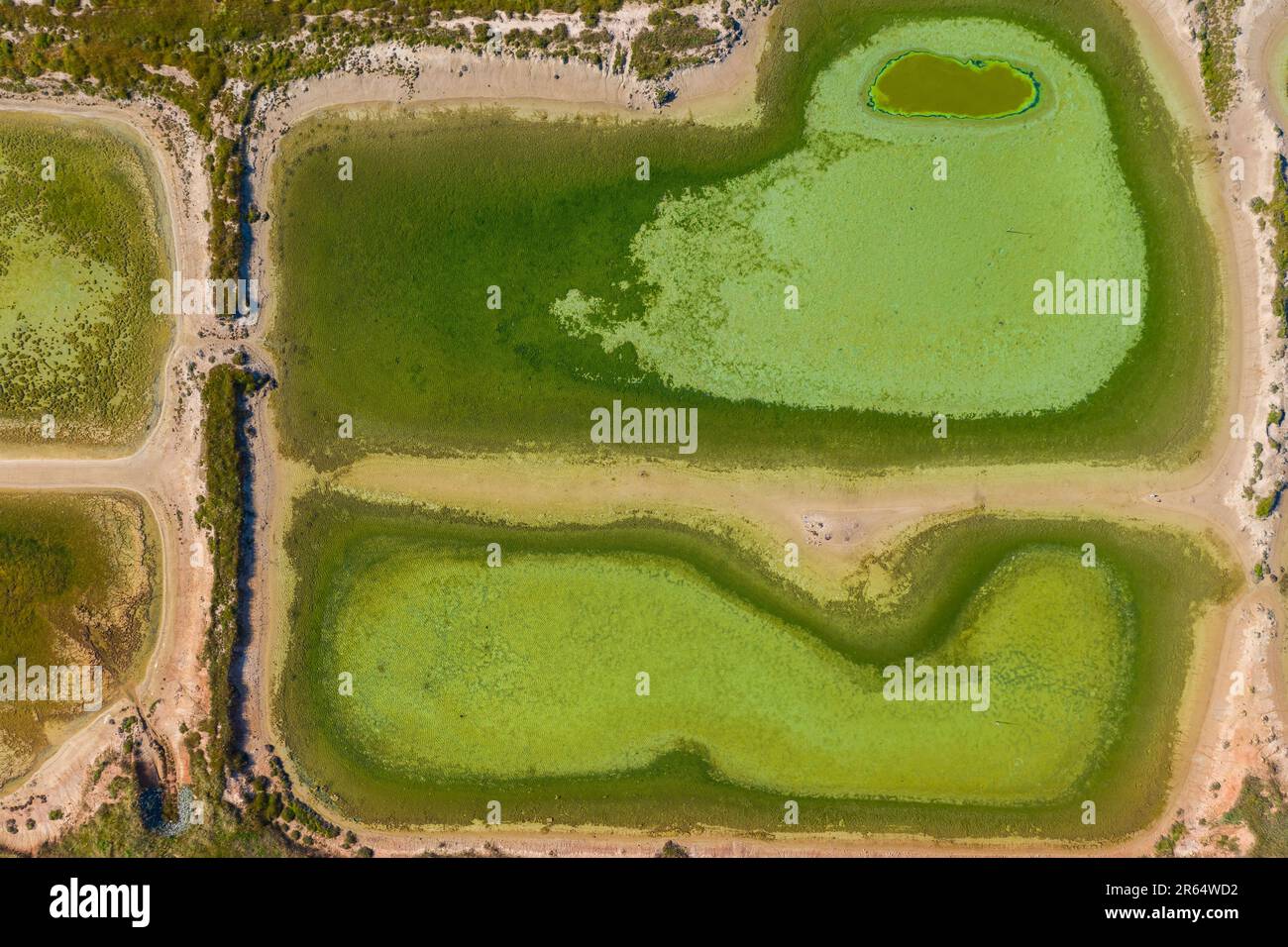 Aerial view of bright green settling ponds and levee bank at Waranga ...