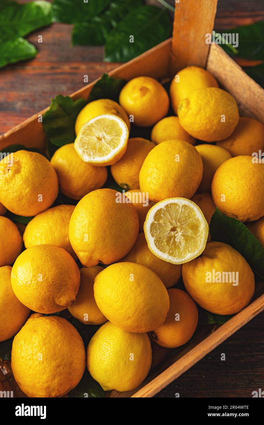 Yellow box tree hi-res stock photography and images - Alamy