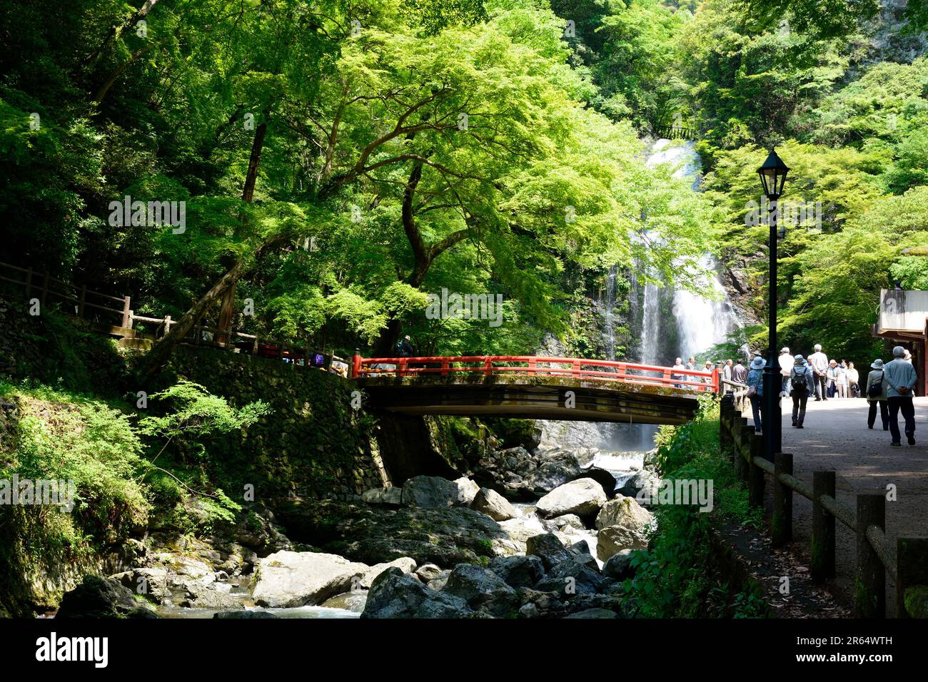Minoh Waterfall in fresh green Stock Photo - Alamy