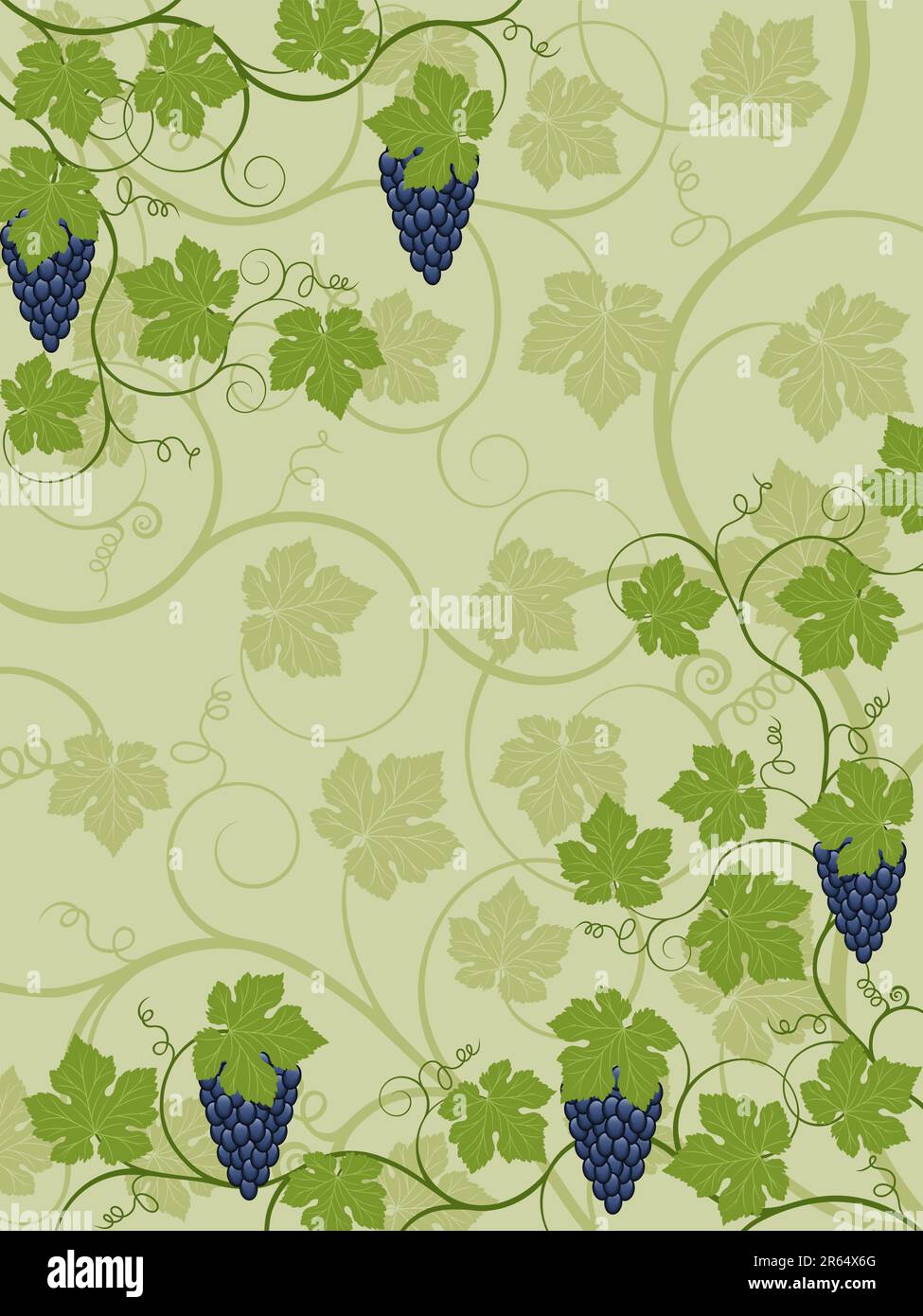 Floral background with a vine. Vector illustration Stock Vector Image ...