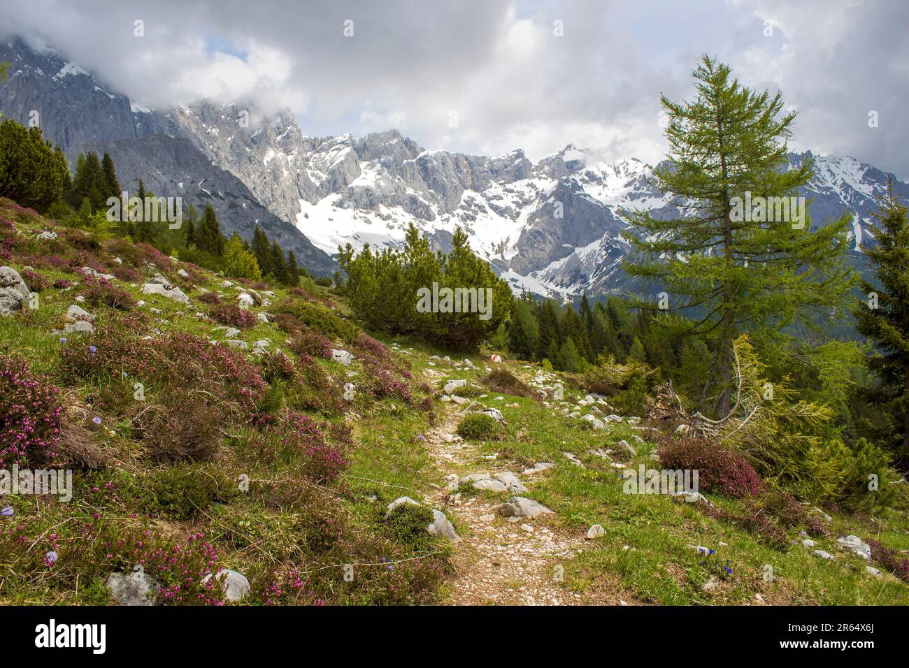 Panorama of massive Alpine mountains. Landscape in the Austrian Alps of ...