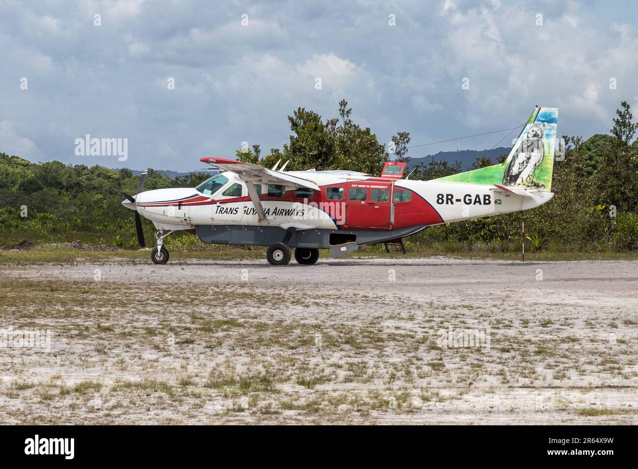 12-seater Trans Guyana Airways, Harpy Eagle emblem, aeroplane from ...
