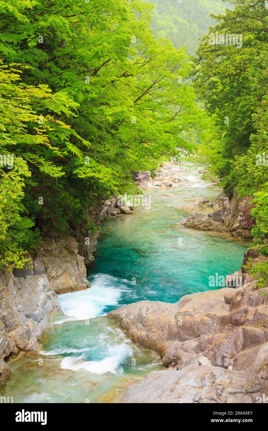 Daylight and valley hi-res stock photography and images - Alamy