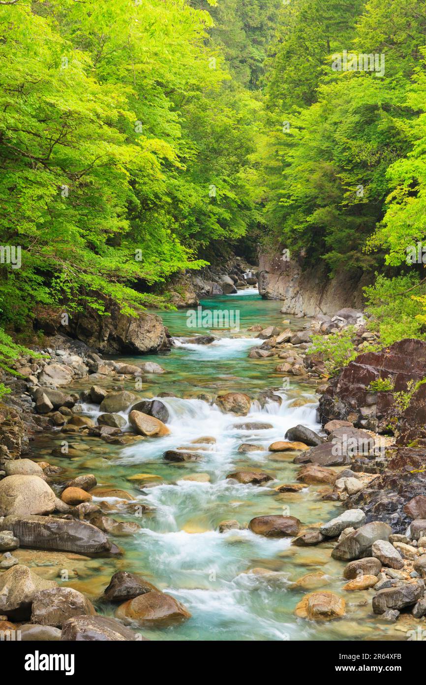 Daylight and valley hi-res stock photography and images - Alamy