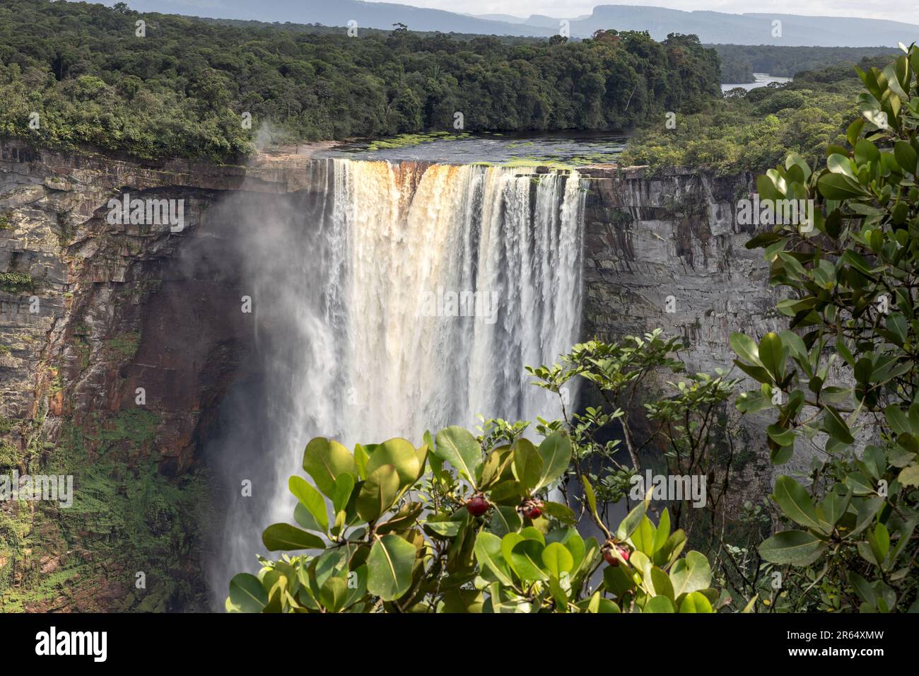 Kaieteur Falls, Kaieteur National Park, Guyana Stock Photo - Alamy