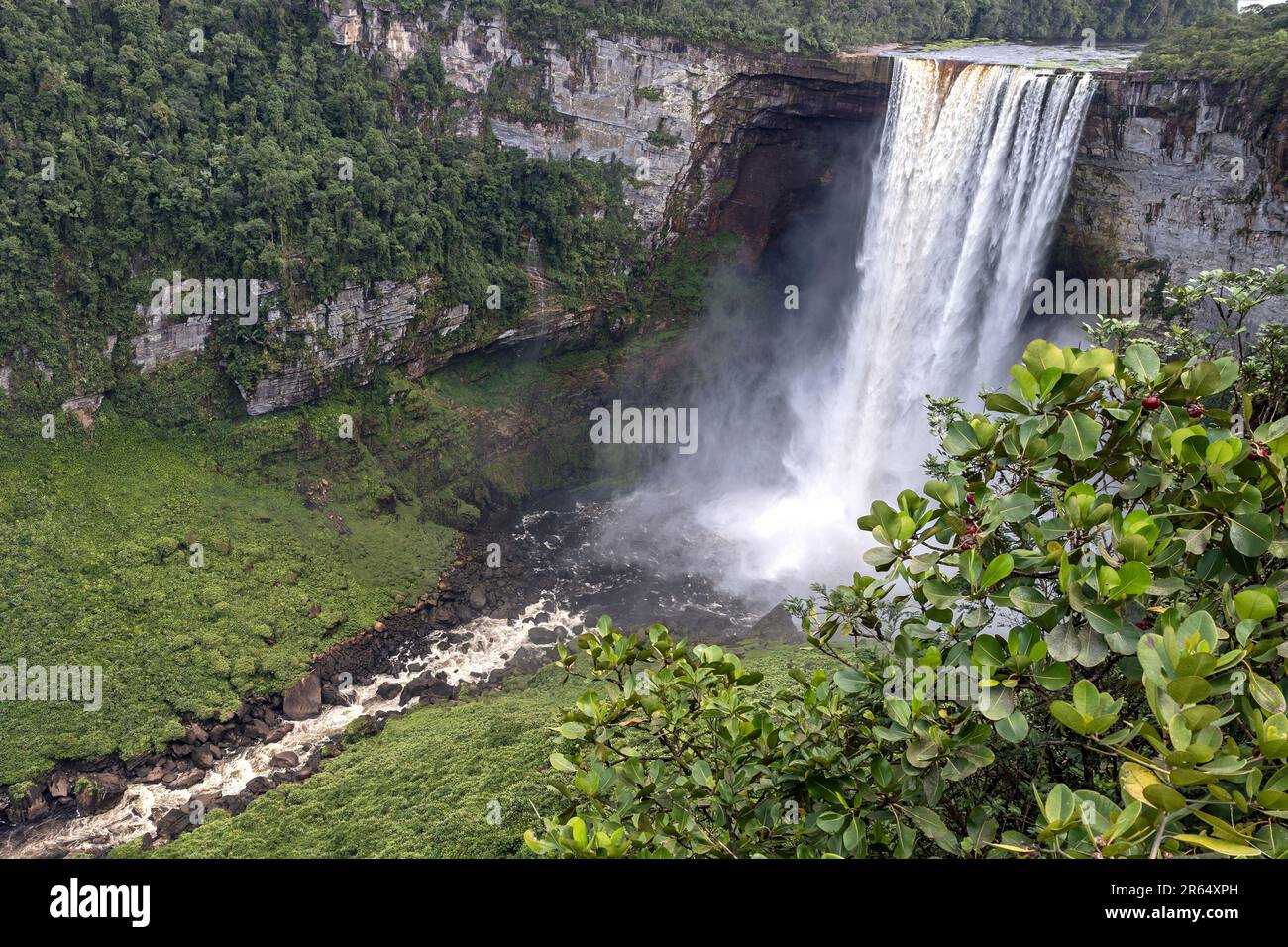 Kaieteur Falls, Kaieteur National Park, Guyana Stock Photo - Alamy