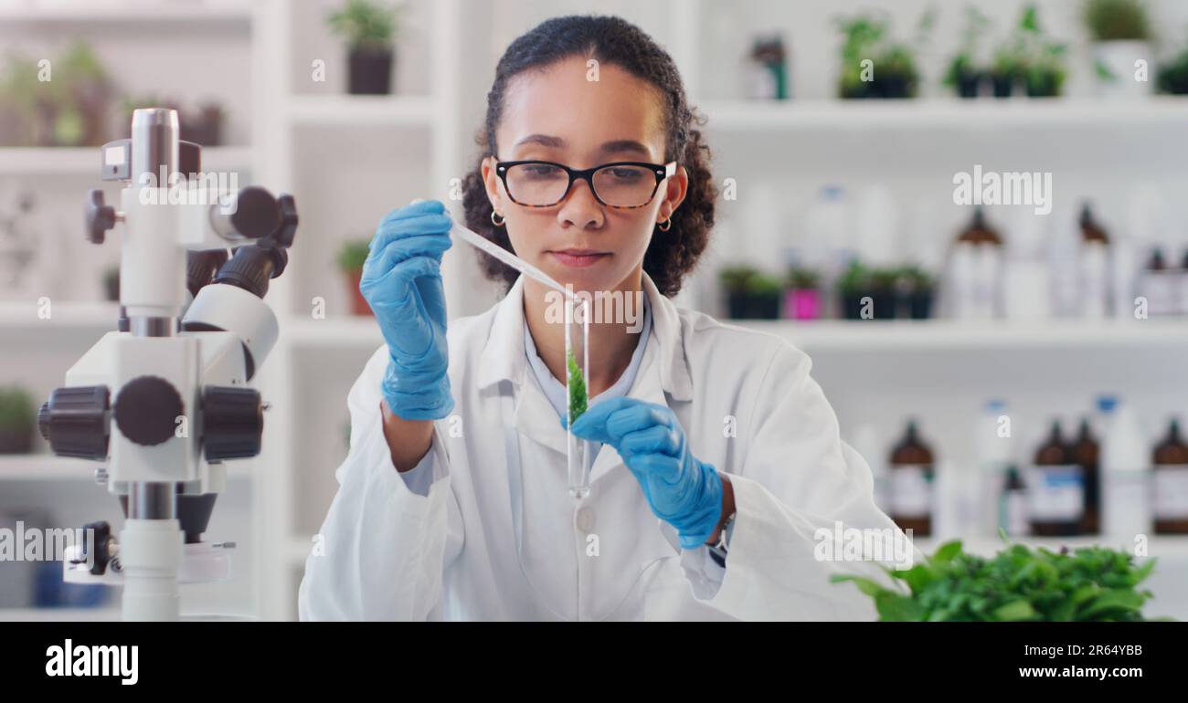 Lab worker, woman ecology scientist and test tube with chemical of ...