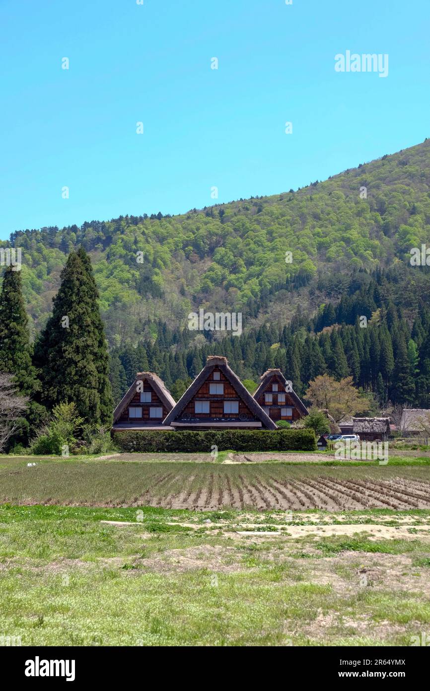 Village of the houses with steep rafter roof gassho village hi-res ...