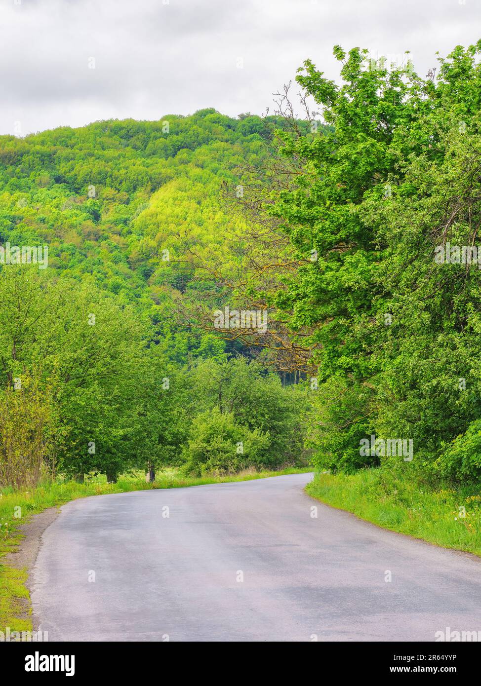 winding road leads through the beautiful mountain pass, revealing a ...