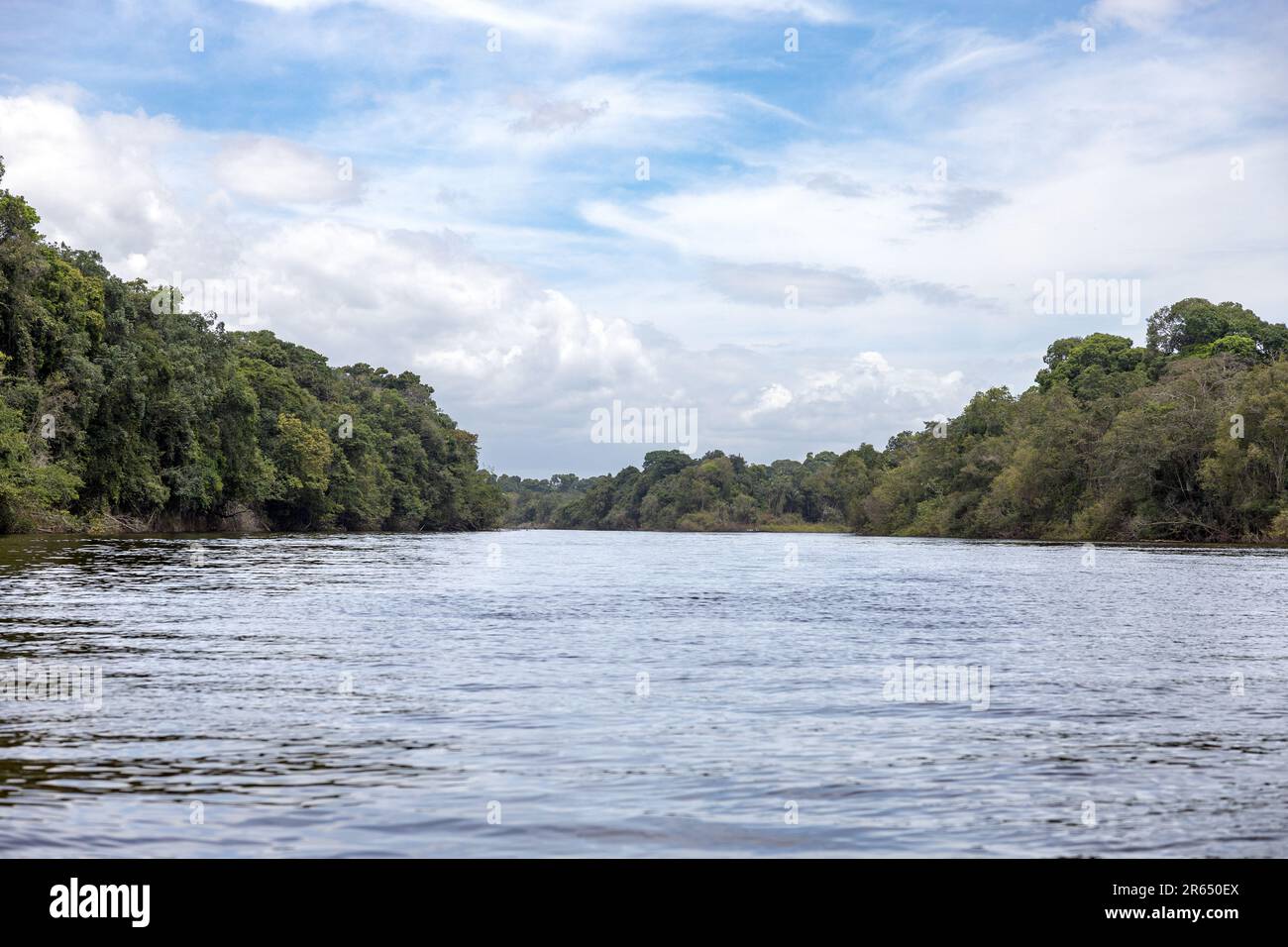 Essequibo River, Iwokrama Rainforest, Potaro-Siparuni, Guyana Stock ...