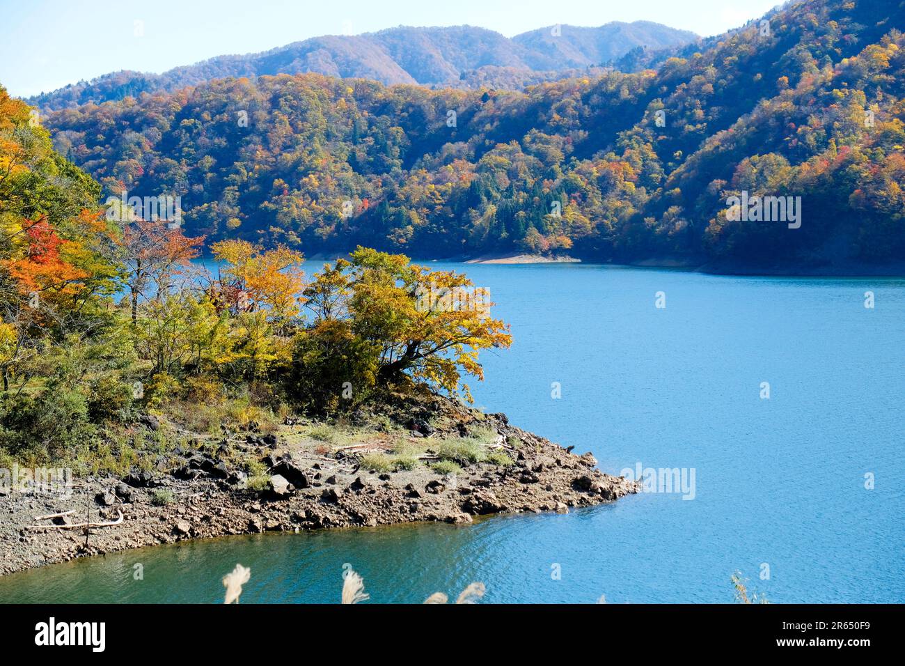 Autumn Leaves at Lake Kuzuryu Stock Photo - Alamy