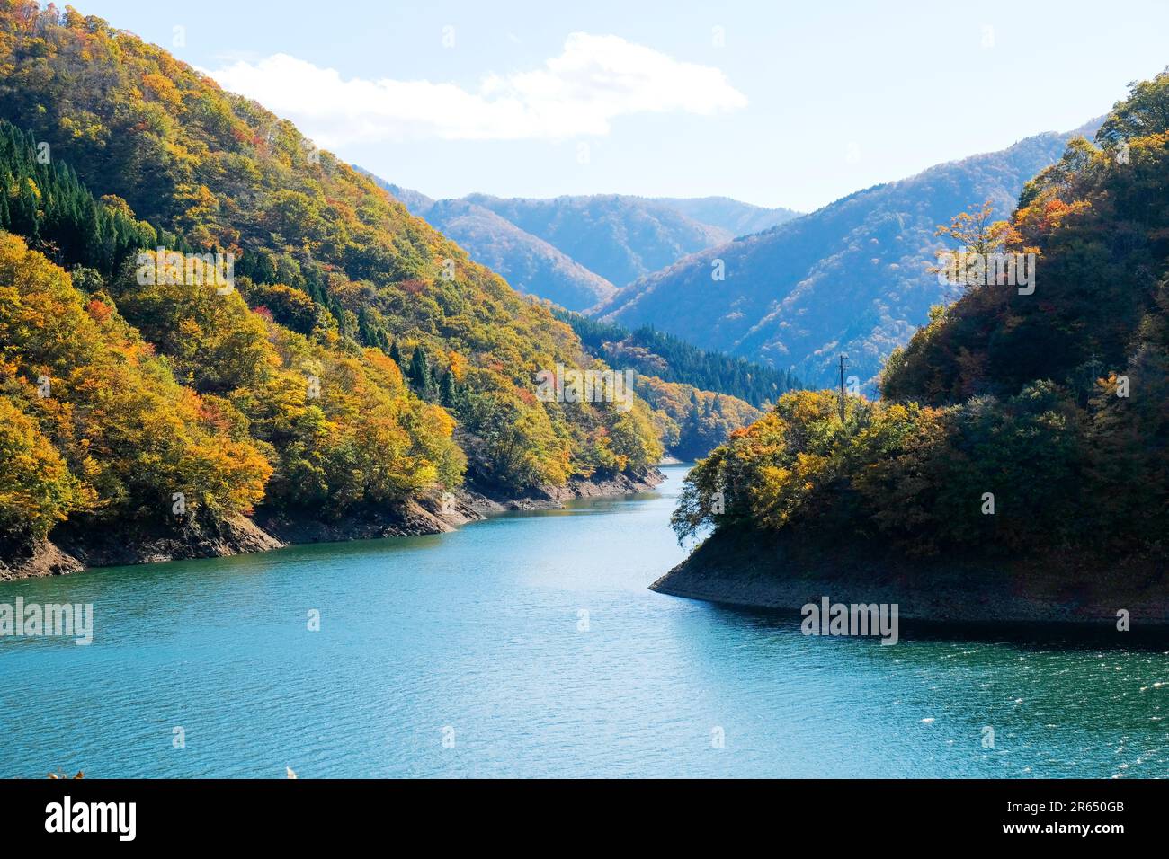 Autumn Leaves at Lake Kuzuryu Stock Photo - Alamy
