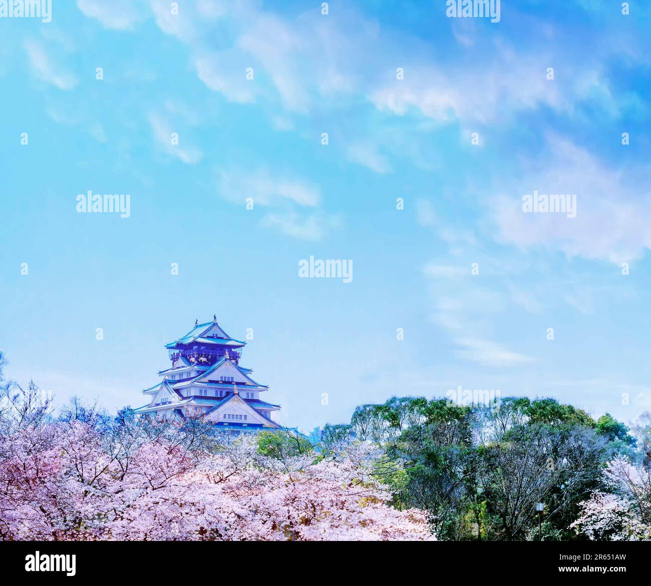 Osaka Castle and cherry blossoms and blue sky Stock Photo - Alamy