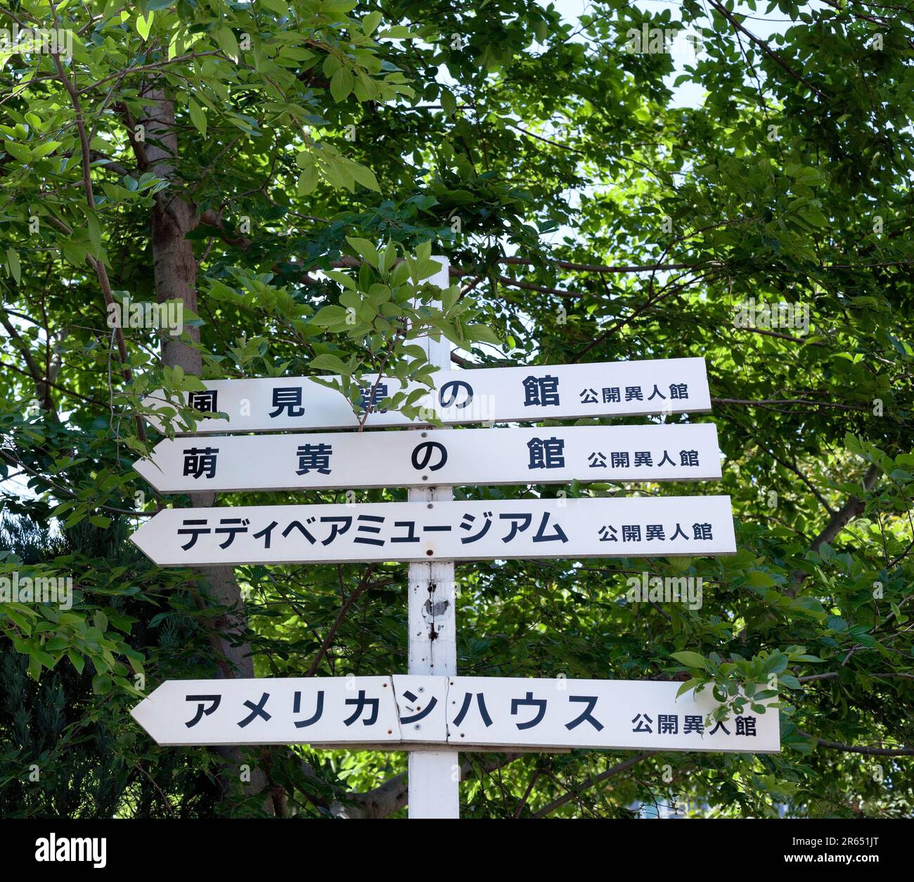 fresh greenery and information board Stock Photo - Alamy
