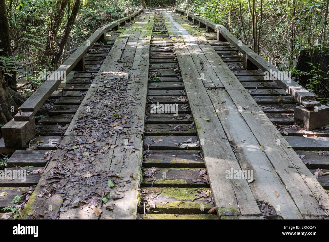 Road bridge, Burro Burro River, Surama, Amerindian village, North ...