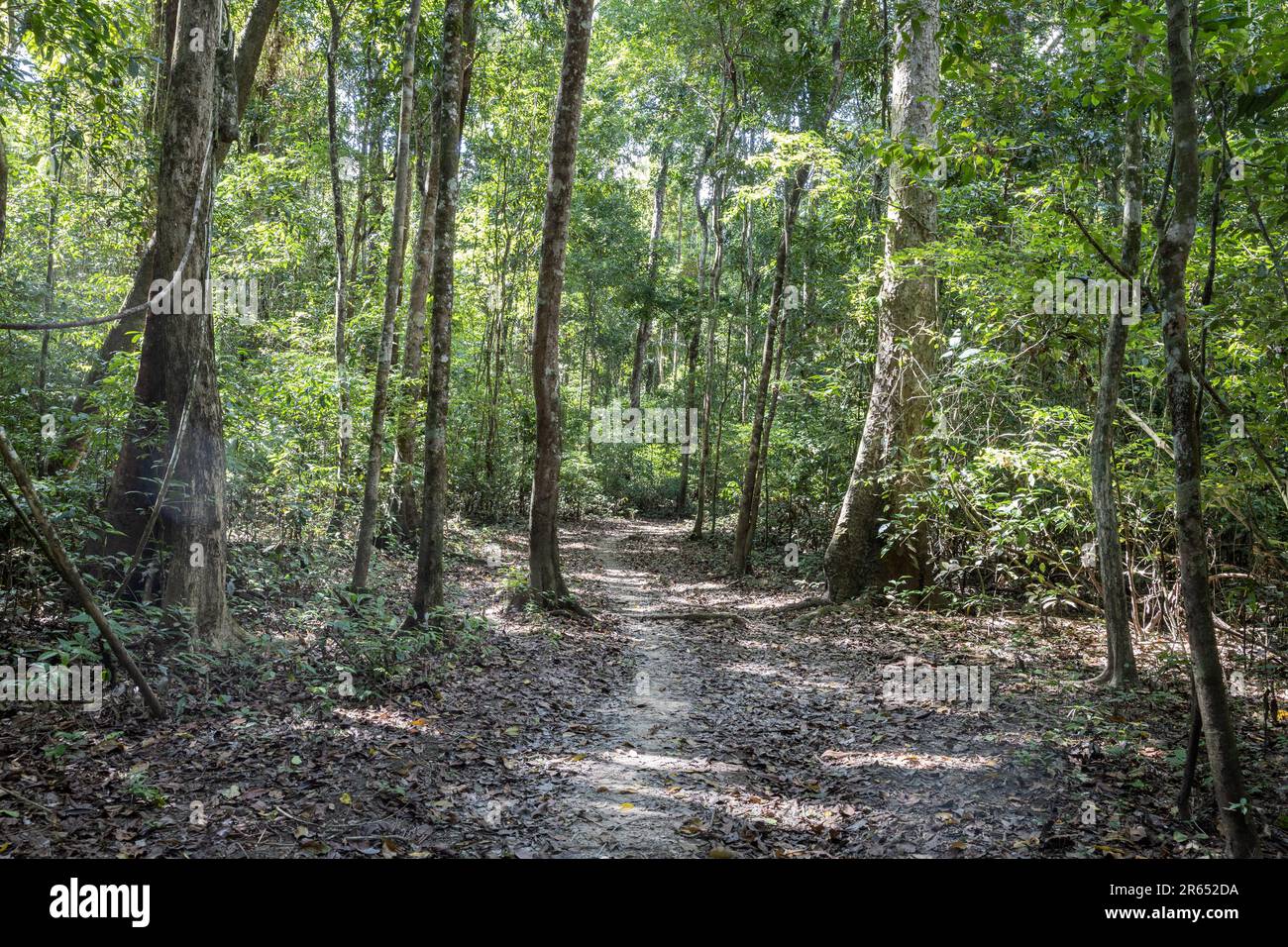 Burro Burro River, Surama, Amerindian village, North Rupununi, Upper ...