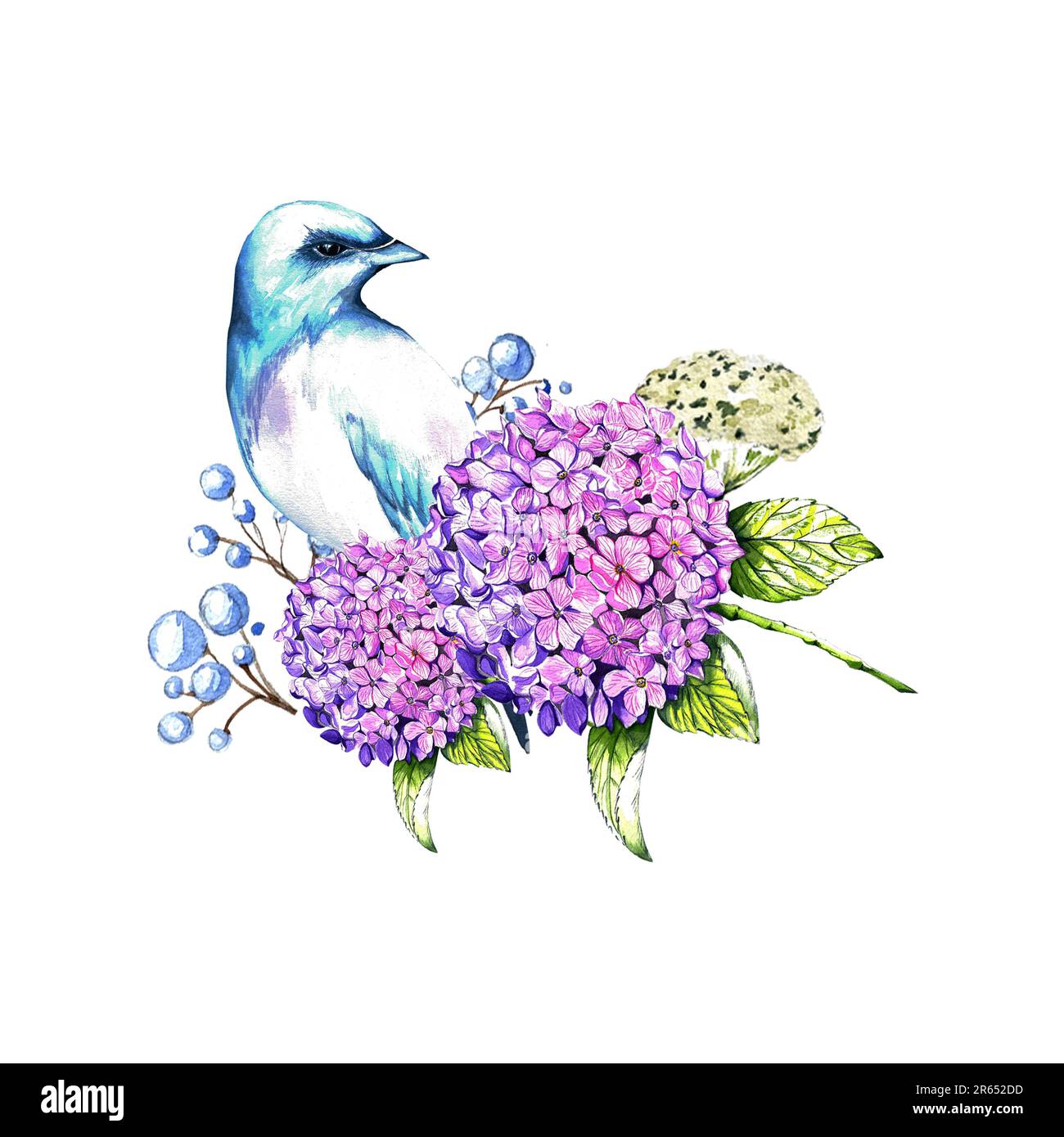 a set of watercolor elements. Forest birds, flowers, juniper, rose hips ...