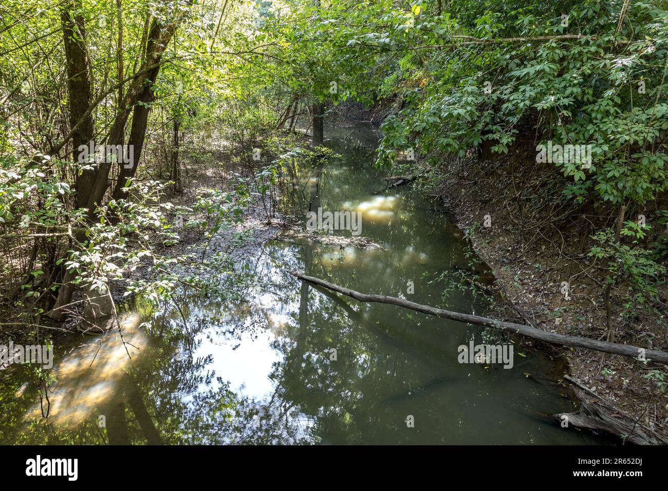 Burro Burro River, dry season, Surama, Amerindian village, North ...
