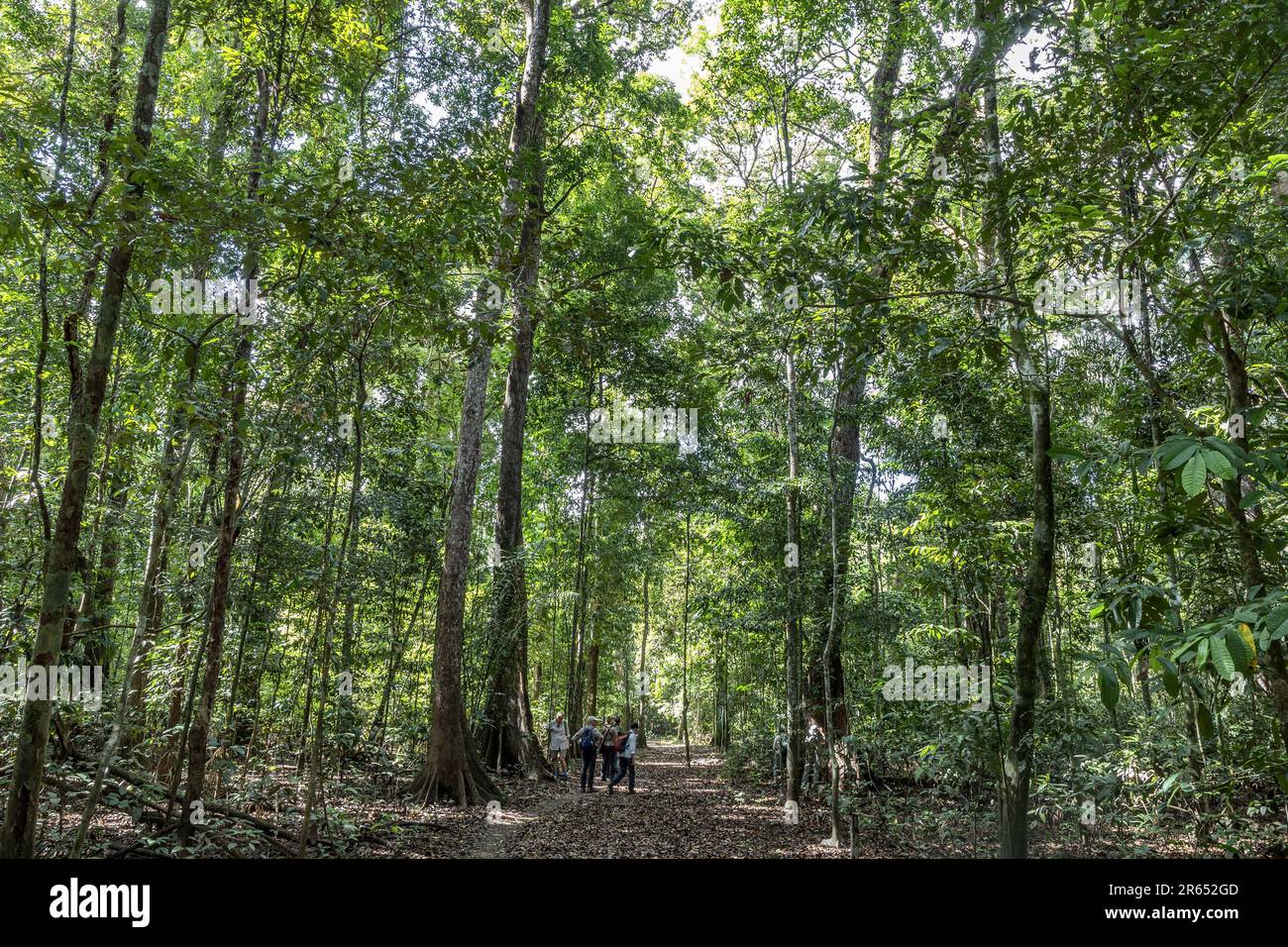 Burro Burro River, Surama, Amerindian village, North Rupununi, Upper ...