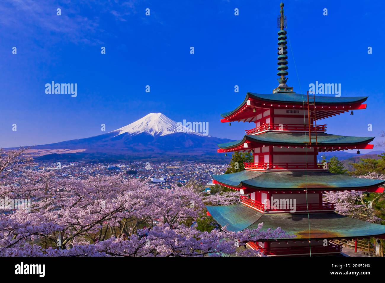 Fuji, cherry blossoms and Churyotou from Niikurayama Sengen Park Stock ...