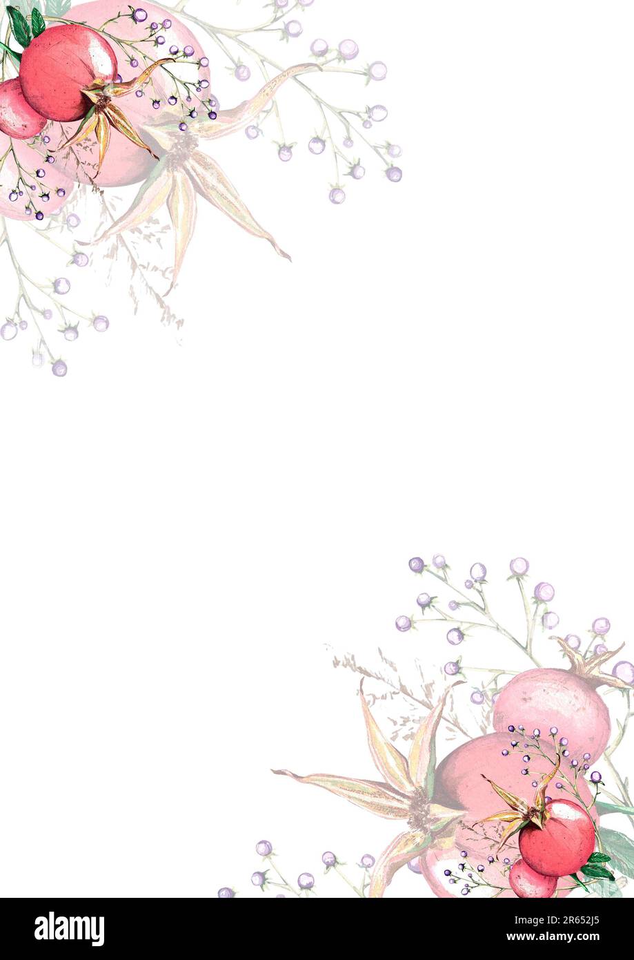 a set of watercolor elements. Forest birds, flowers, juniper, rose hips ...