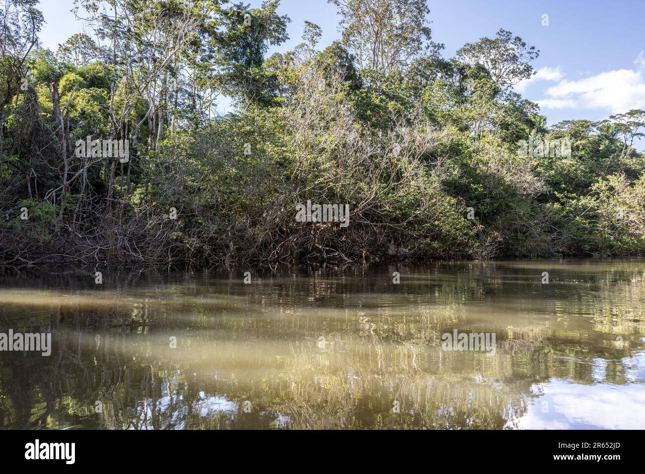Burro Burro River, Surama, Amerindian village, North Rupununi, Upper ...