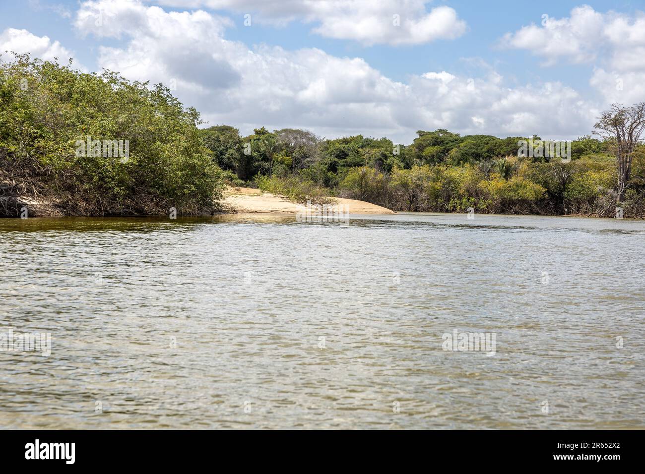 Rupununi River, Upper Takutu-Upper Essequibo region, Guyana Stock Photo ...