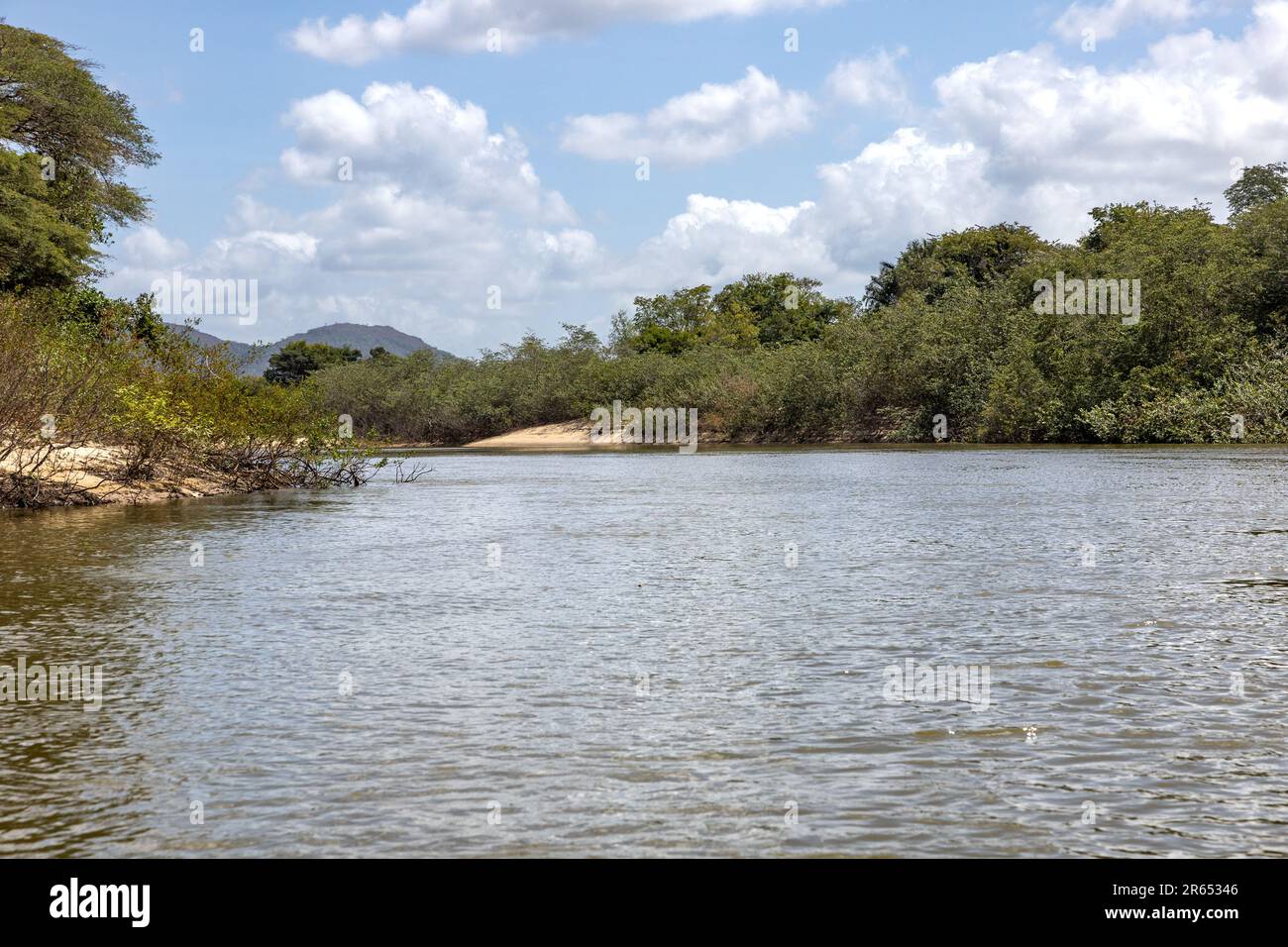 Rupununi River, Upper Takutu-Upper Essequibo region, Guyana Stock Photo ...