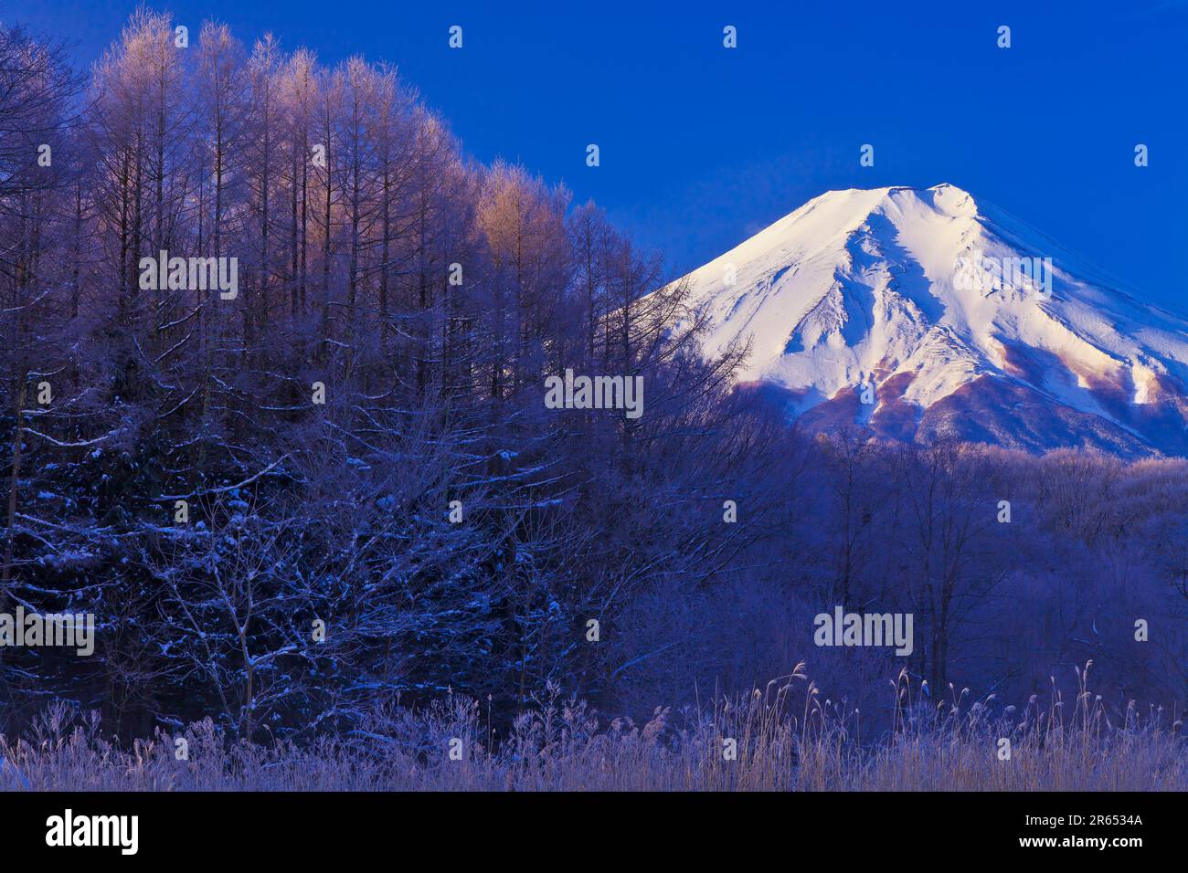 Fuji and foggy ice seen from Oshino Village Stock Photo - Alamy