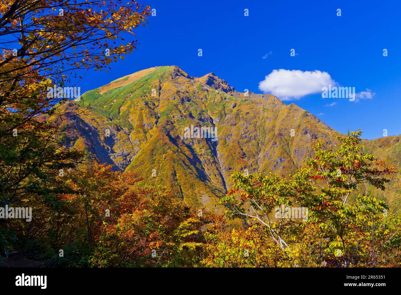 Mt. Tanigawa in autumn seen from Tenjin-daira Stock Photo - Alamy