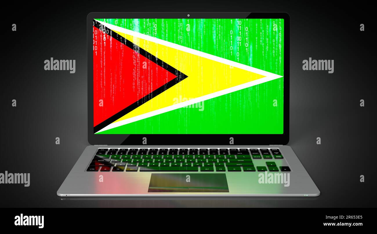 Guyana - country flag and binary code on laptop screen - 3D ...