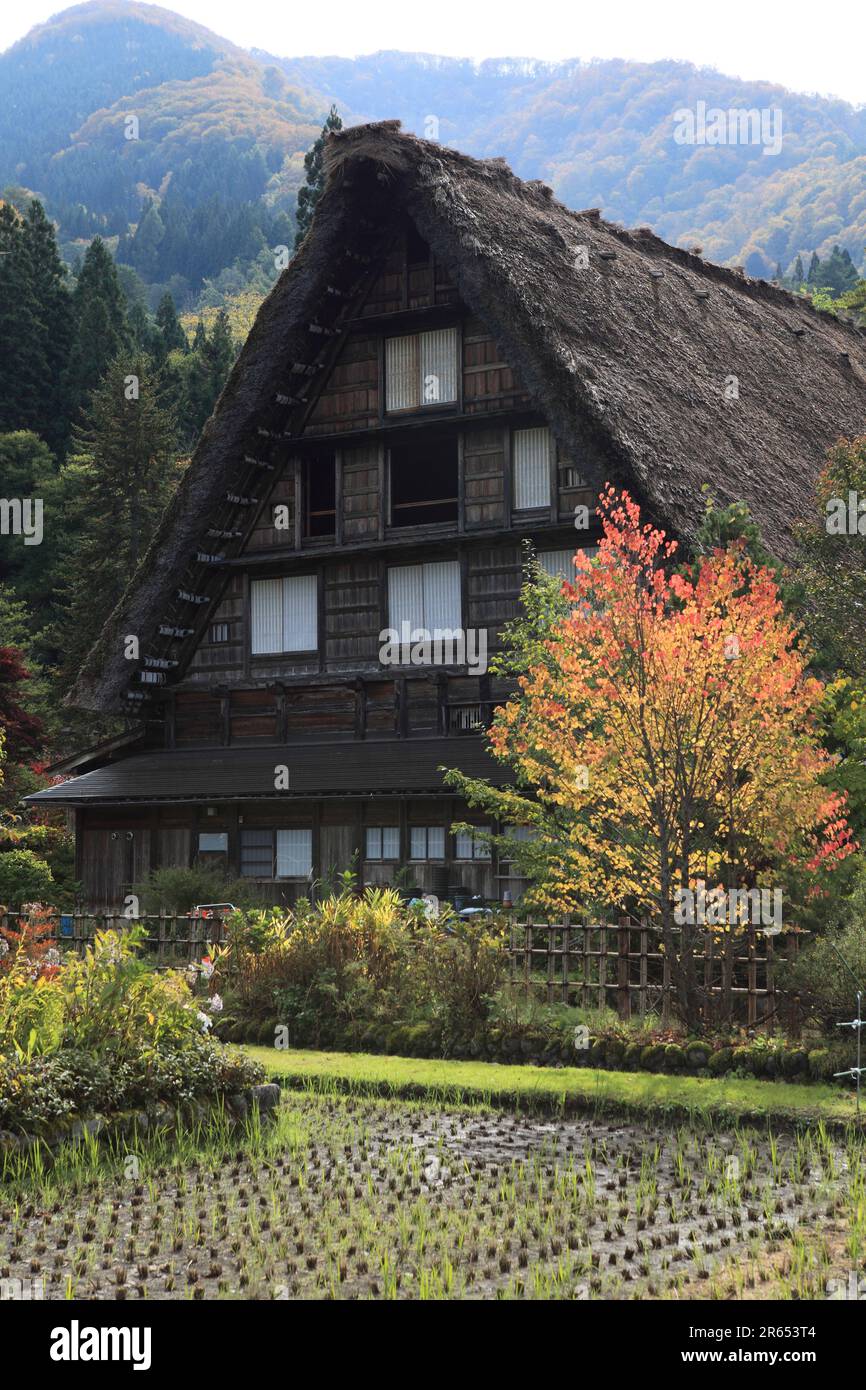 Village of the houses with steep rafter roof gassho village hi-res ...