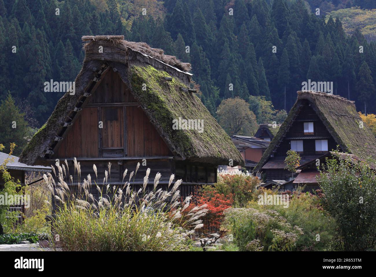 Village of the houses with steep rafter roof gassho village hi-res ...