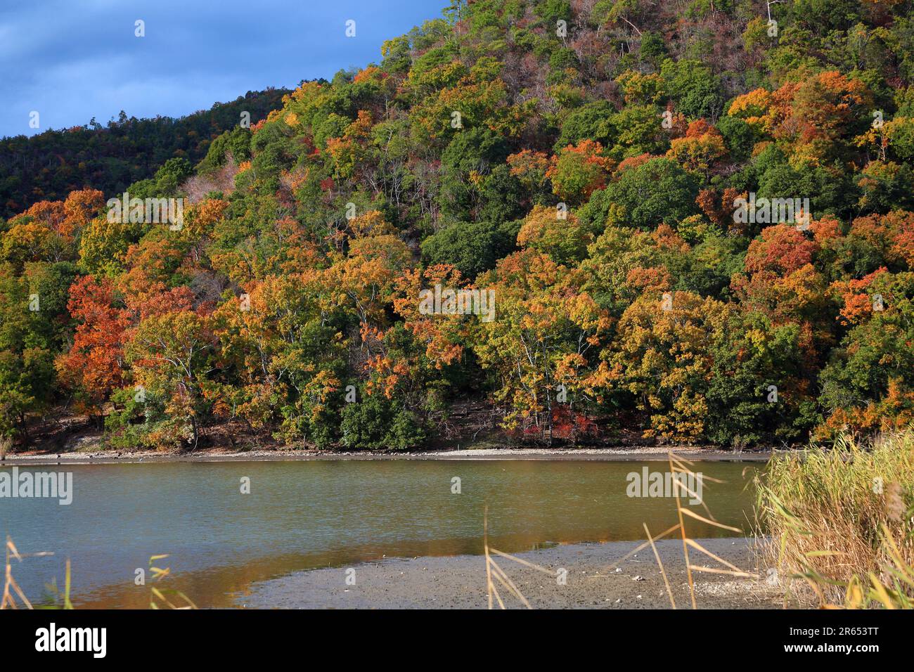 Pond hirosawa hi-res stock photography and images - Alamy