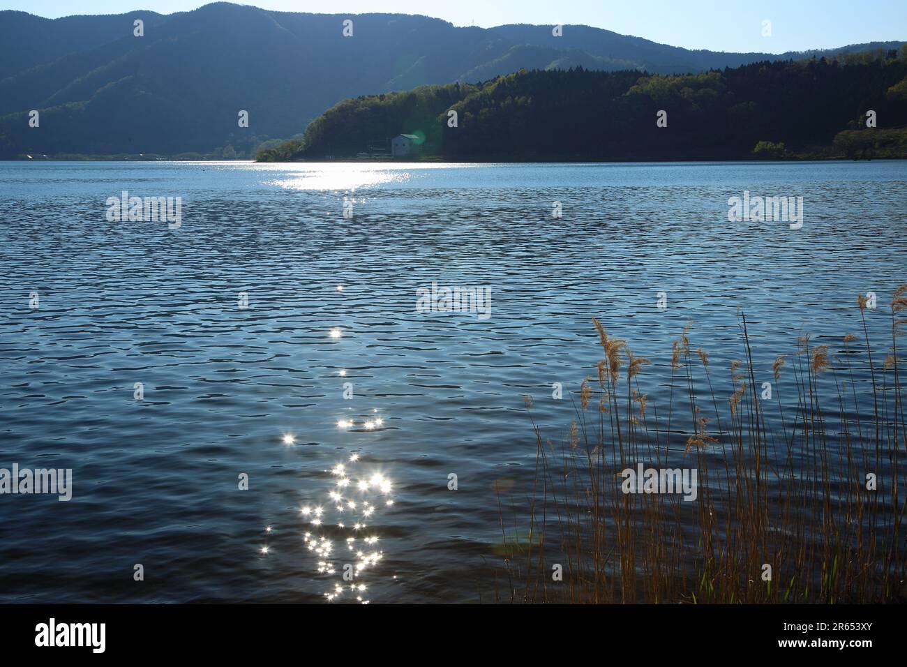Lake Biwa's surface glows Stock Photo - Alamy
