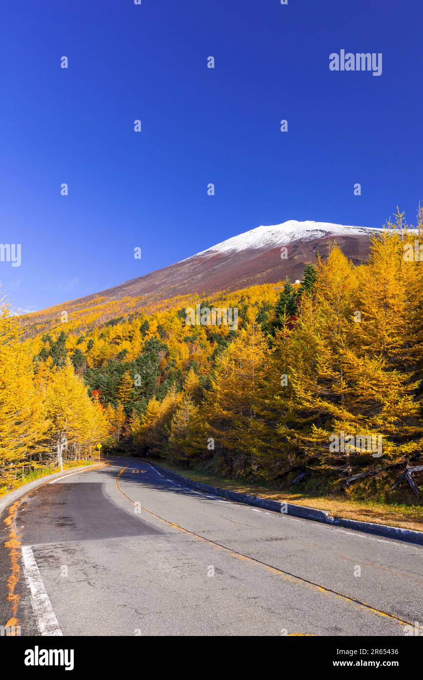Calm leaves hi-res stock photography and images - Alamy