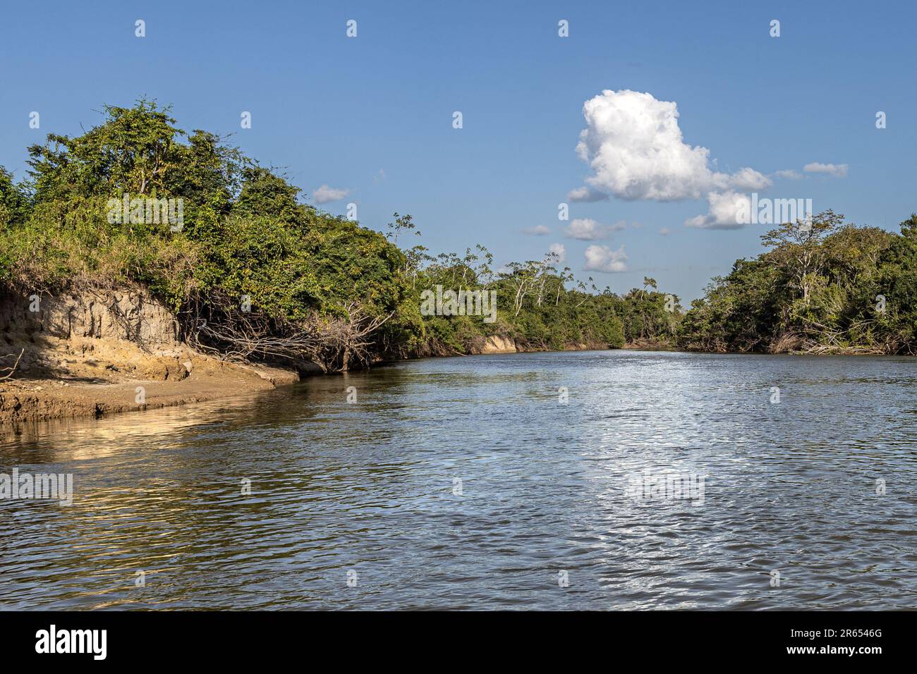 Rupununi River, Rupununi Savannah, Upper Takutu-Upper Essequibo region ...