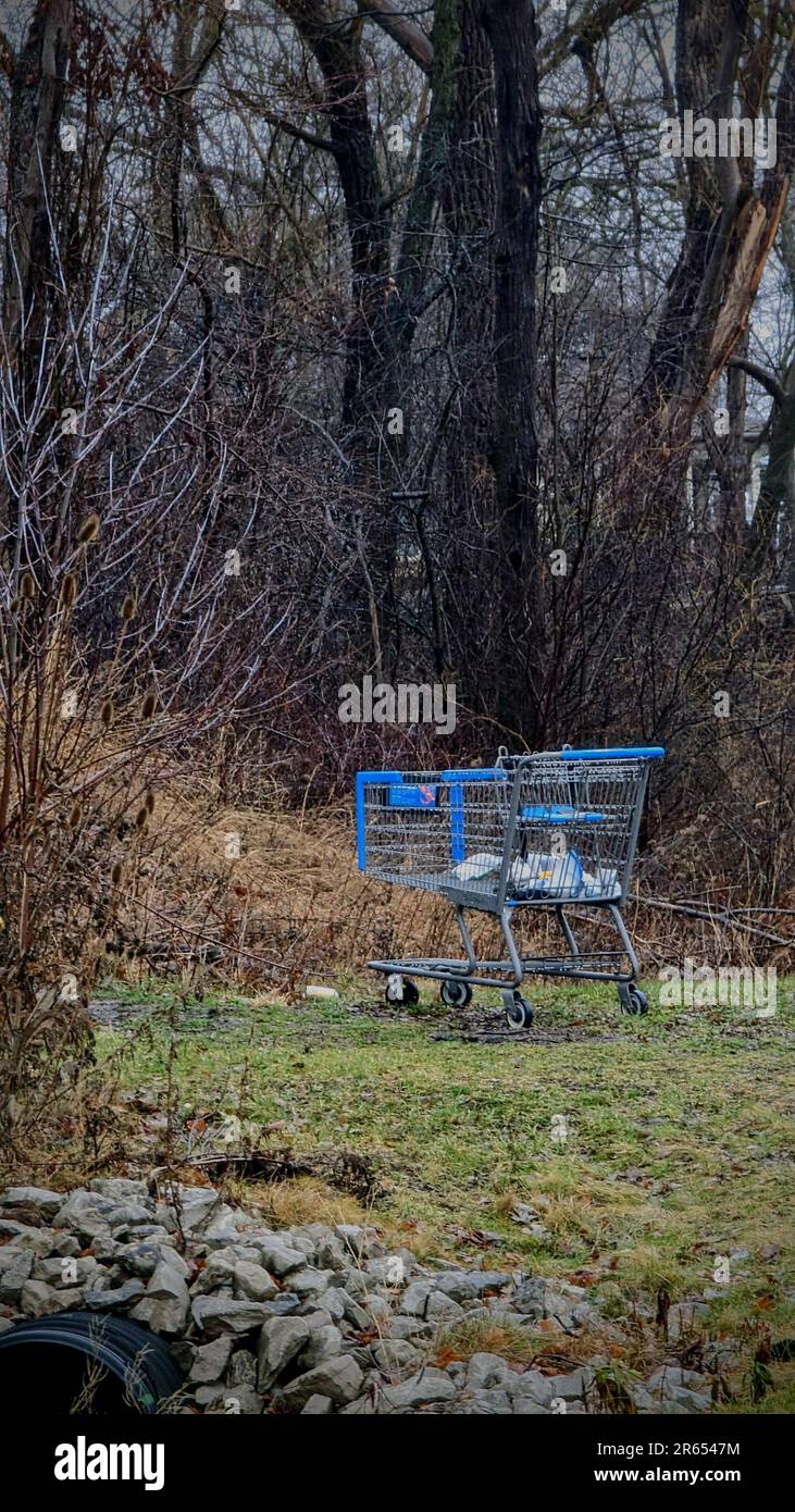 A shopping cart is pictured in a park setting with lush trees Stock ...