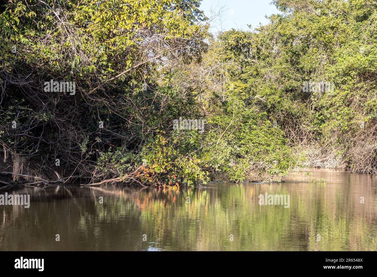 Upper takutu upper essequibo region hi-res stock photography and images ...