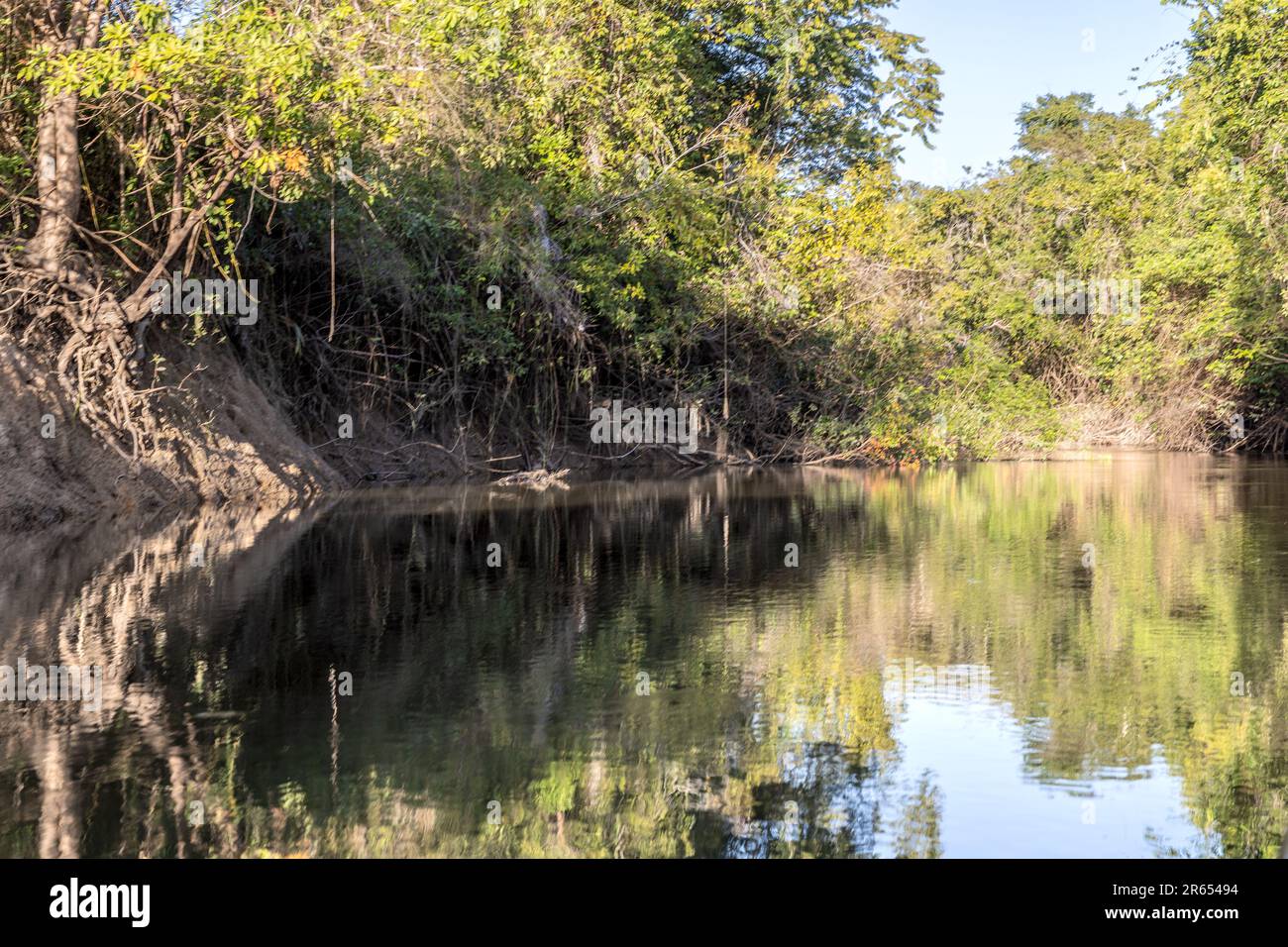 Upper takutu upper essequibo region hi-res stock photography and images ...