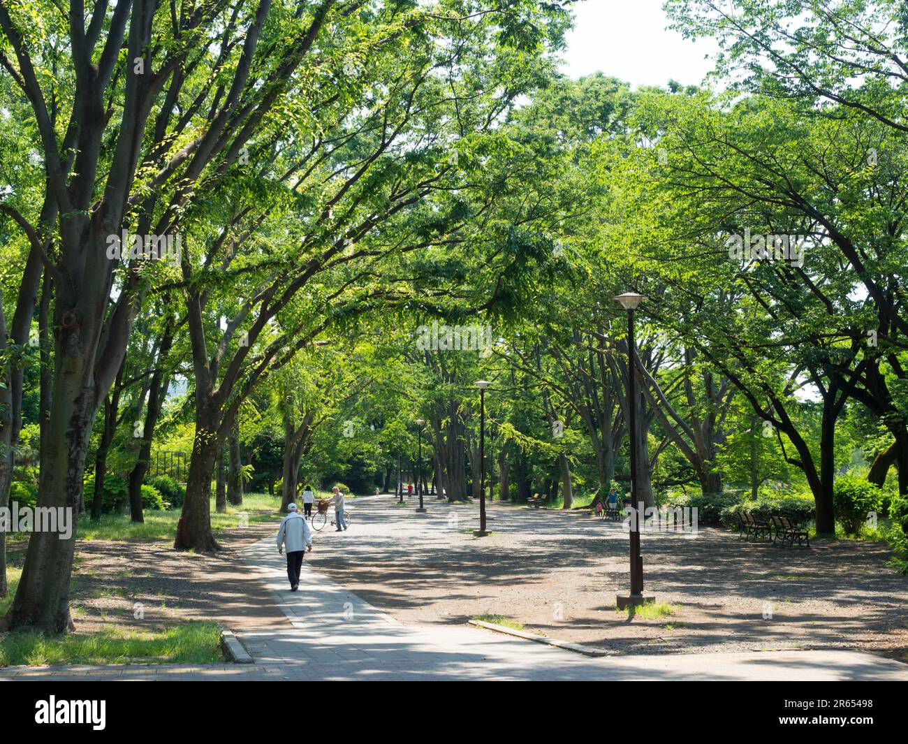 Promenade square park hi-res stock photography and images - Alamy